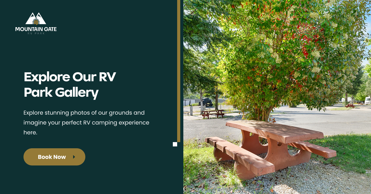 Gallery | Mountain Gate RV Park | See Our Grounds & Book Your Site